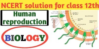 ncert solution for class 12th Biology chapter 3 - Biologysir
