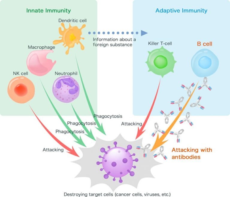 MCQ ON IMMUNITY class 12 for NEET - Biologysir